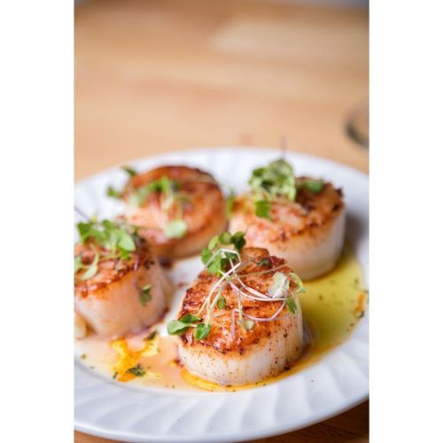Scallops New England Wild Caught 1 lb Bag | WINOLA FARM BEEF